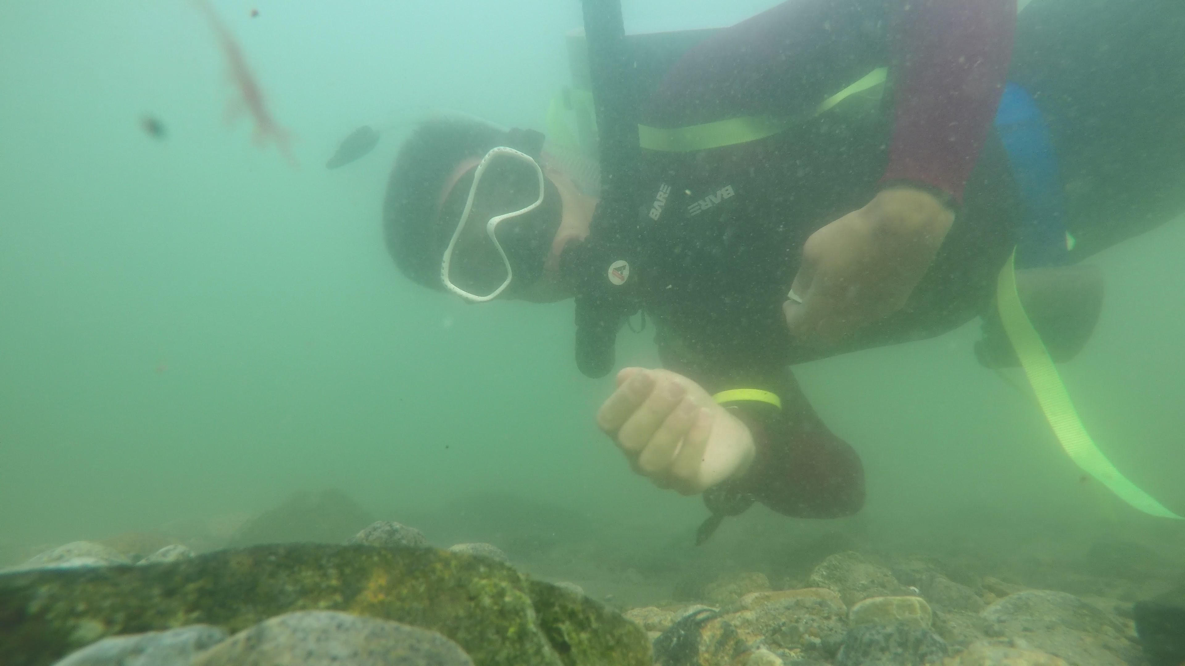 Oxygen Rebreather Dive Notes – AyLo